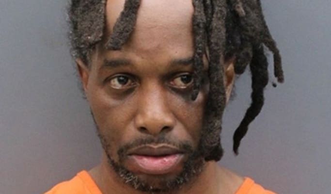 Man Arrested for Striking Patrol Vehicle, Fleeing Scene in Tampa